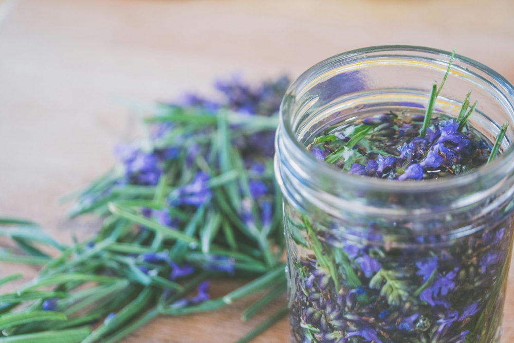 Zioła na ból brzucha i żołądka: przegląd skutecznych gatunków - Recepta.pl